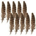 1 Bag Multi Pheasant Plumes for DIY Crafts Home Decor and Wedding ...