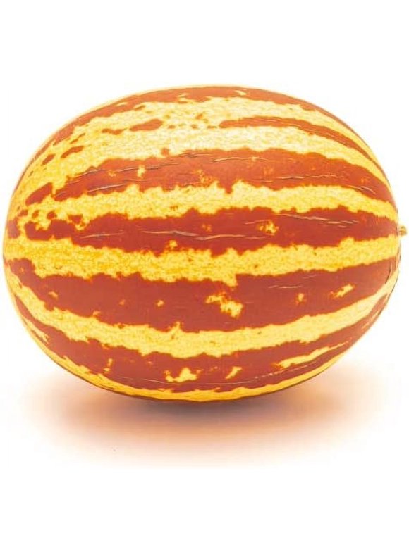 Melon Seeds in Seed Gardening - Walmart.com