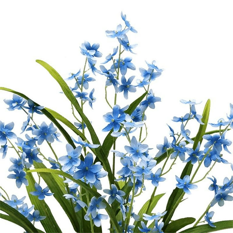 Jasmine Flower Pictures Color | Best Flower Site