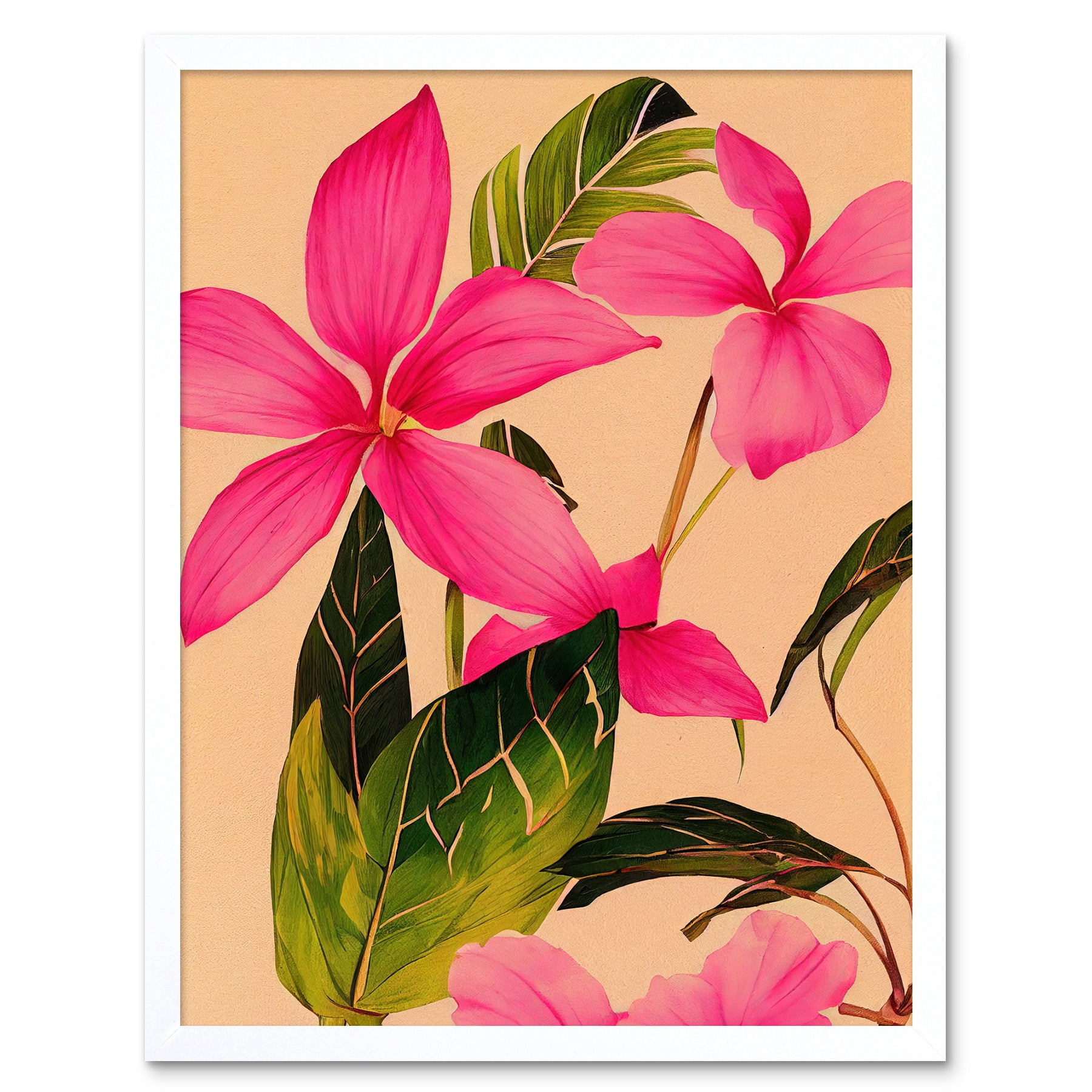 Exotic Pink Plumeria Flower Plant Blooms Watercolour Pencil ...