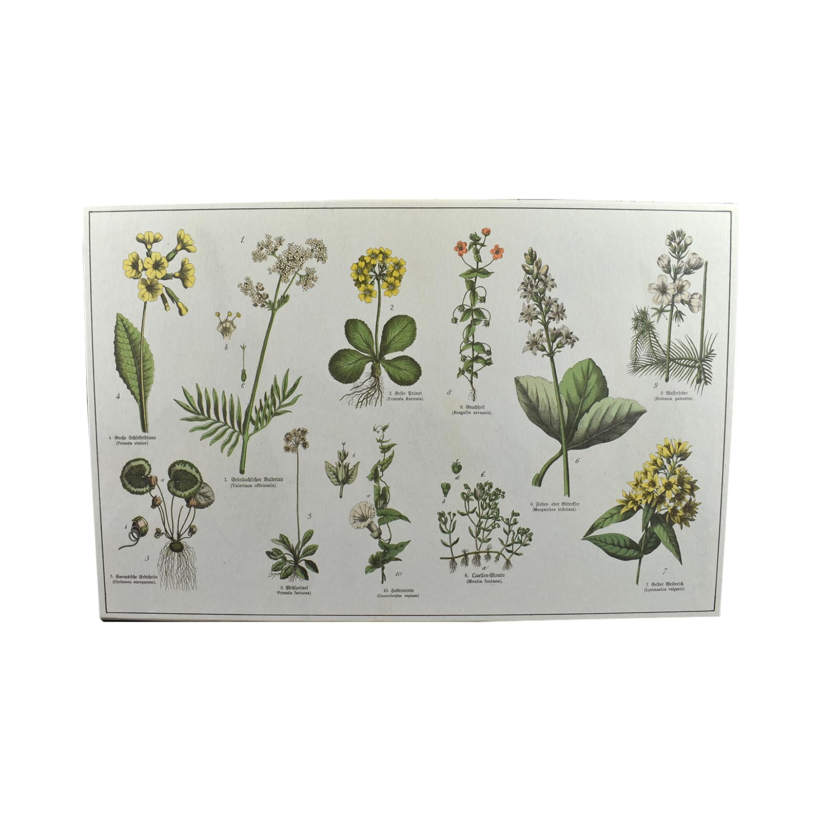 Ashland Organized Boxes