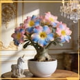 Giant Desert Rose For Planting Ideal for Gardening Deer Resistant ...