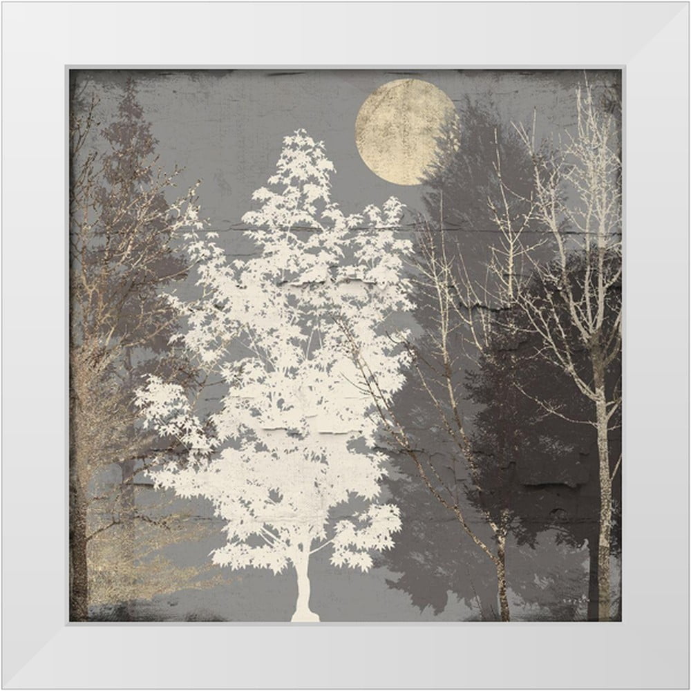 Sophie 6 12x12 White Modern Wood Framed Museum Art Print Titled - Moon ...
