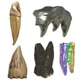 D&D: Teeth of Dahlver-Nar Bite-Sized Artifact - Dungeons & Dragons RPG Accessory, 20 Creature ...
