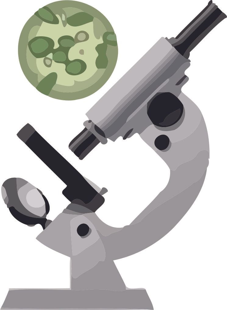 Microscope Science Learn Design School Wall Decals For Classroom ...