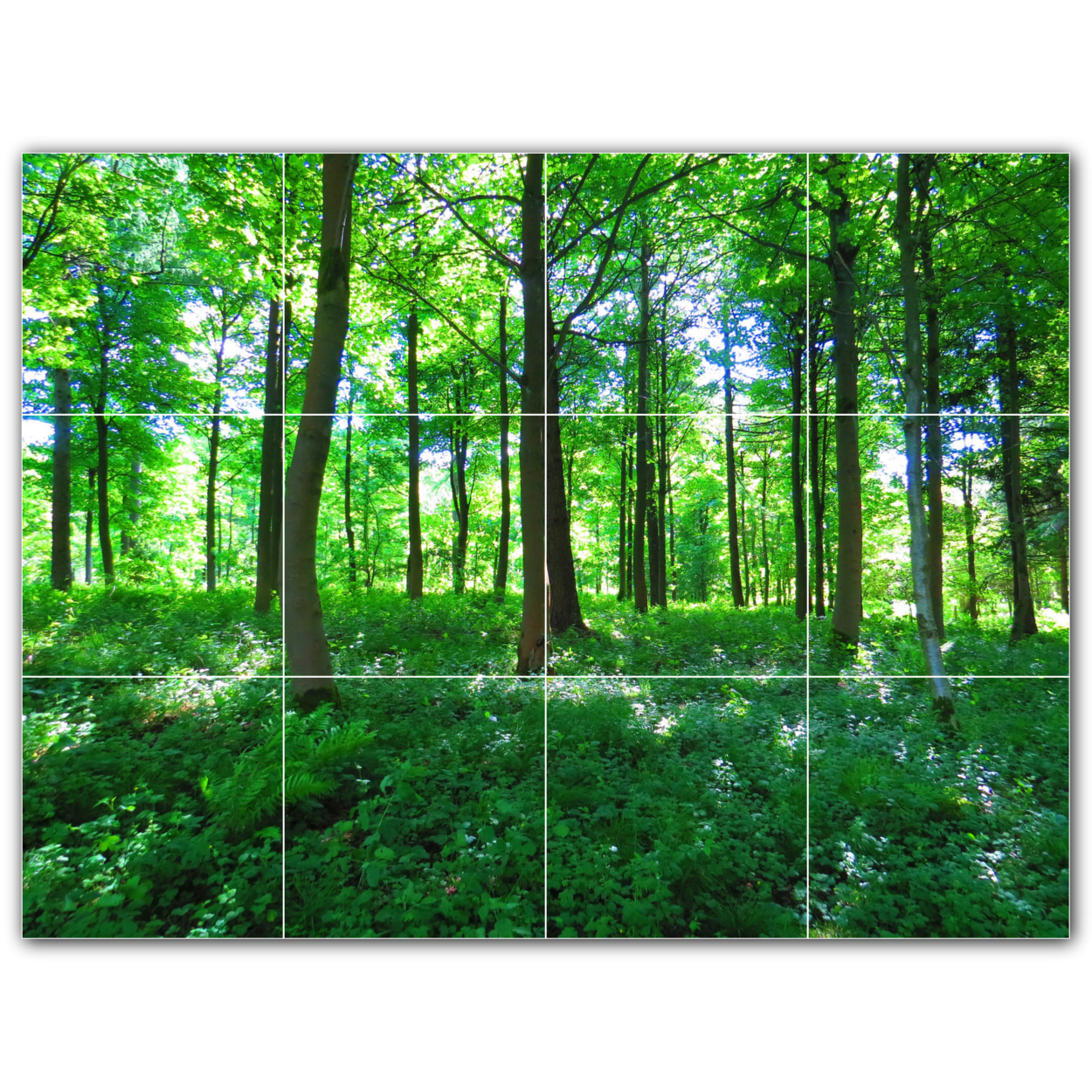 Picture-Tiles.com: Trees Ceramic Tile Wall Mural WAL501045-43M. 24"W x ...