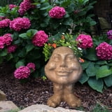 Homestyles Stone Wash Daisy the Muggly Face Humorous Statue Planter Pot ...