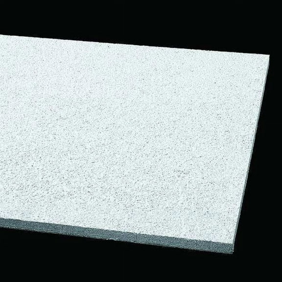 Armstrong Ceiling Tile,24 in L,24 in W,PK10 2820A - Walmart.com