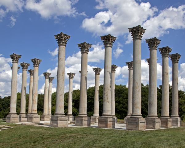 Print: National Capitol Columns At The United States National Arboretum ...