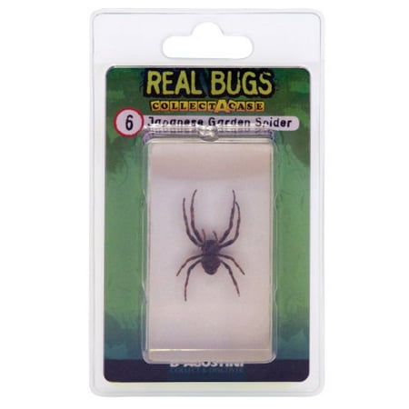 DeAgostini Real Bugs Japanese Garden Spider Bug - Walmart.ca
