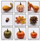 Fall Harvest Decor Props Artificial Mini Pumpkin Gourd Acorn Berries ...