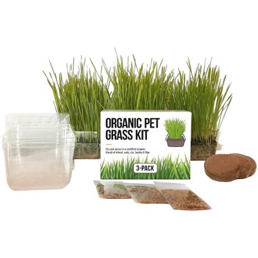 Cat A'Bout Freshly Grown Cat Grass Plus, Natural Digestive Aid ...