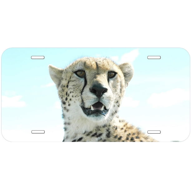 Cheetah Car Stickers