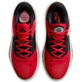 Nike Zoom Freak 4 University Red/Bright Crimson (DJ6149 600) - 13 ...