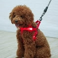 DUOYOU Clearance LED Light Up Dog Vest Harness Rechargeable Soft Padded ...