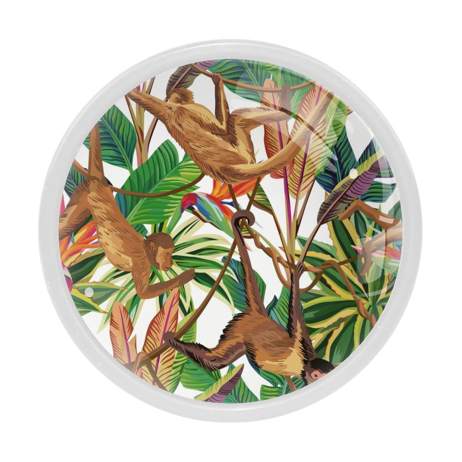 4 Pcs Tropical jungle Monkey Knobs for Kitchen Cabinet Cupboard Dresser ...