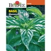 Burpee Organic Common Cilantro Herb Seed, 1-Pack - Walmart.com