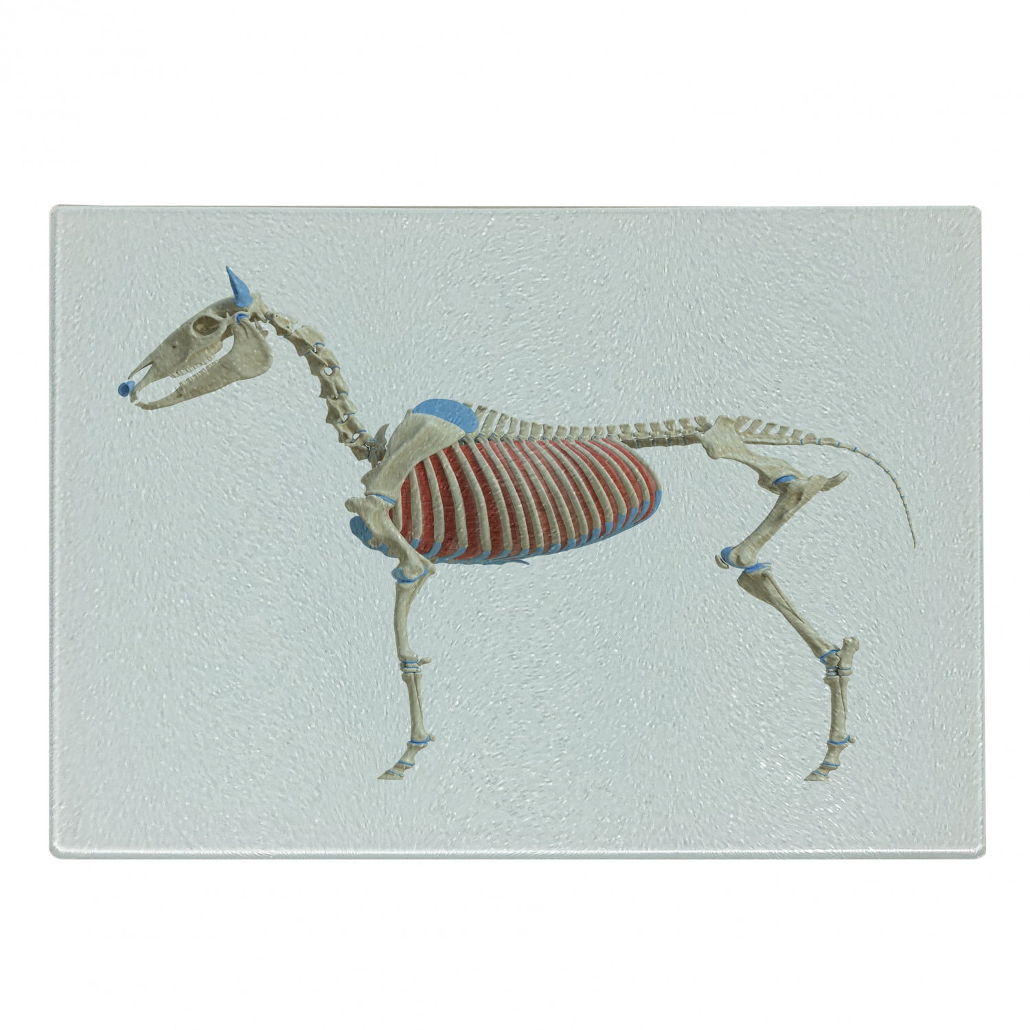 Bones Cutting Board, Animal Anatomy Skeleton System on a Plain Backdrop ...