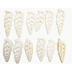 50 Small Green Limpet Shells Seashells Shellcraft Beautiful Beach ...
