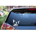 WIRESTER 6" x 4.08" Vinyl Decor Decal Car Sticker Window Auto Vehicle ...