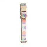 Vibrant Life Abstract Geometric Multicolored Fashion Dog Collar Medium ...