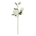 (2 pack) 29.5-inch Artificial Silk White Rose 3 Heads Long Spray, for ...