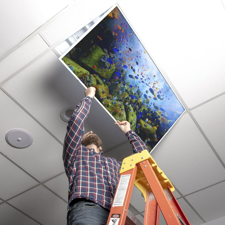 Drop Ceiling Fluorescent Light Diffuser | Shelly Lighting