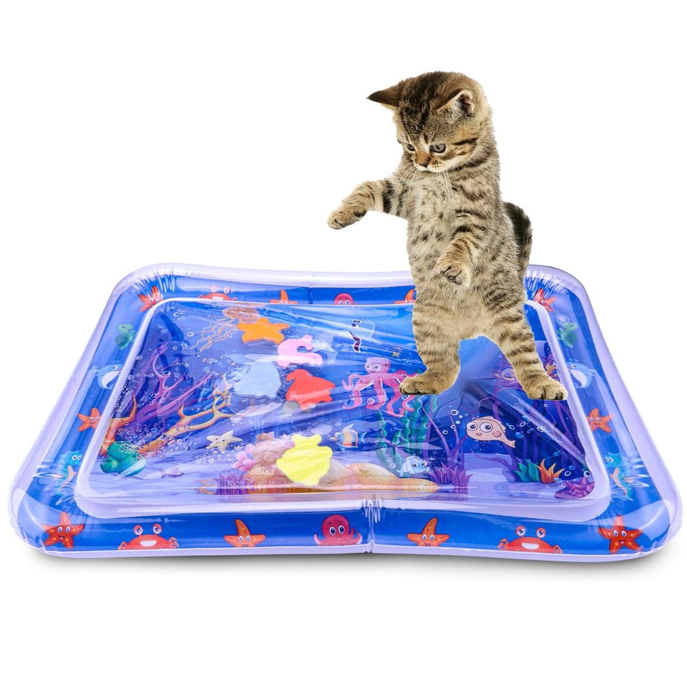 Click here for Eastin Clearance! Water Sensory Playmat For Cats C... prices