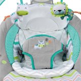Ingenuity SmartBounce Automatic Bouncer - Ridgedale - Walmart.com
