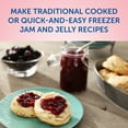Sure-Jell, Fruit Pectin, 1.75 oz Box for Making Homemade Jams - Walmart.com