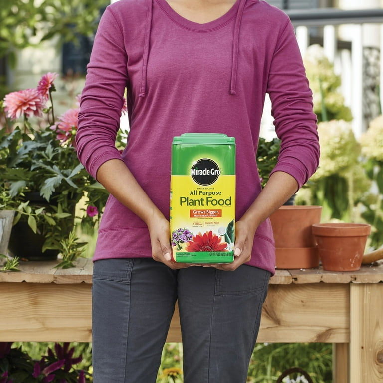 Miracle gro fertilizer store