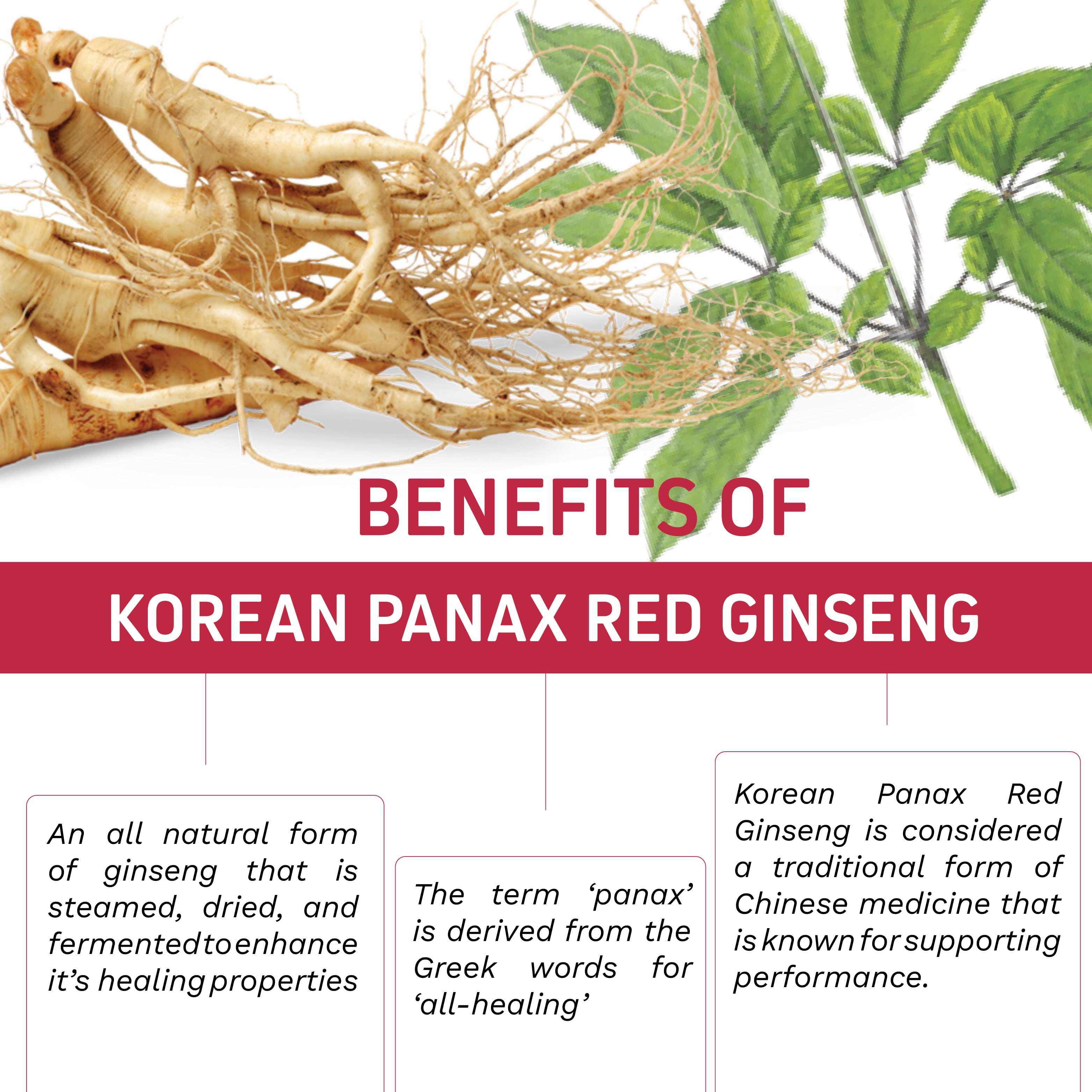 Buy High Strength Korean Red Panax Ginseng Capsules | 1500 mg ...