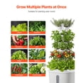 Hydroponic Tower, 30 Pods 6 Tiers Hydroponics Growing System Kit with ...