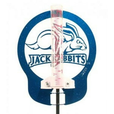 Michael Carr Gnome Rain Gauge - Walmart.com