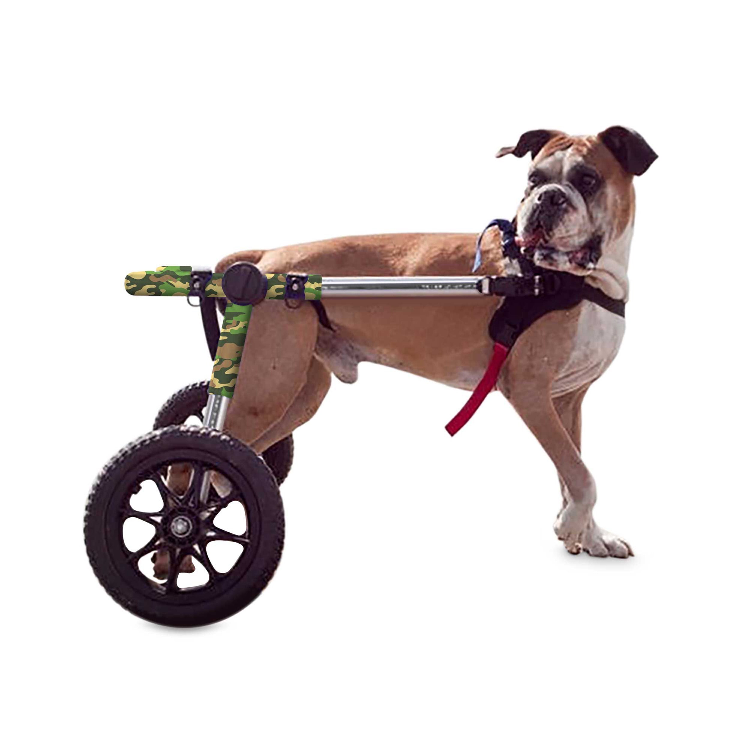 Walkin' Wheels Dog Wheelchair - Vet Approved - Large Dogs 70 -180 lbs ...
