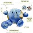 Celestial Buddies Our Precious Planet Stuffed Earth Plush Solar System ...