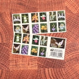 Wild Orchid Wild Orchids 20 USPS First Class Forever Postage Stamps for ...