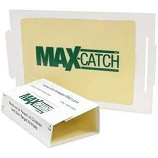 Catchmaster 100i Insect Glue Traps/Monitors - Catches Insects ...