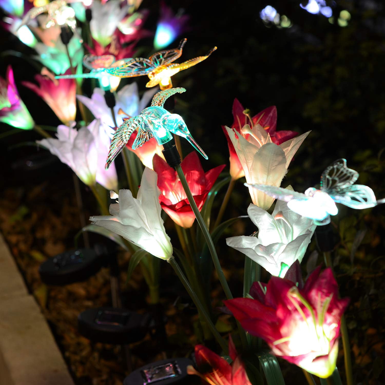 Buy Coolmade Outdoor Solar Garden Lights, 2 Packs Solar Powered Lights ...