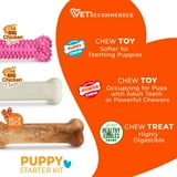 Nylabone, Puppy Chew Dog Toy Starter Kit, 3 Pack, Small, Pink, Includes ...