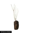 Patriot Blueberry Bush Dormant Bare Root Fruiting Starter Plant (1-Pack ...