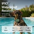 Wrongduck Dog Training Collar 2 Dogs with Remote Control, 4500FT Range ...