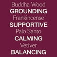 Plant Therapy Chakra 1 Grounded Foundation Synergy (Root Chakra) Pre ...