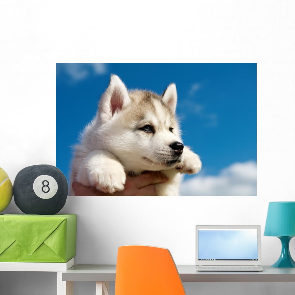 Siberian Husky Dog Puppy Wall Mural by Wallmonkeys Peel and Stick ...