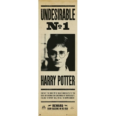 Harry Potter - Undesirable No 1 Wanted Poster Poster (24 x 36 ...