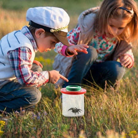 Insect Observation Cage Insect Viewer Collecting Kit Caterpillars Cups ...