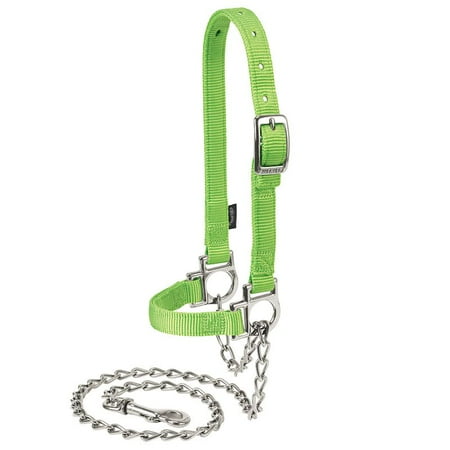 Weaver Leather Livestock Nylon Adjustable Sheep Halter with Chain Lead ...