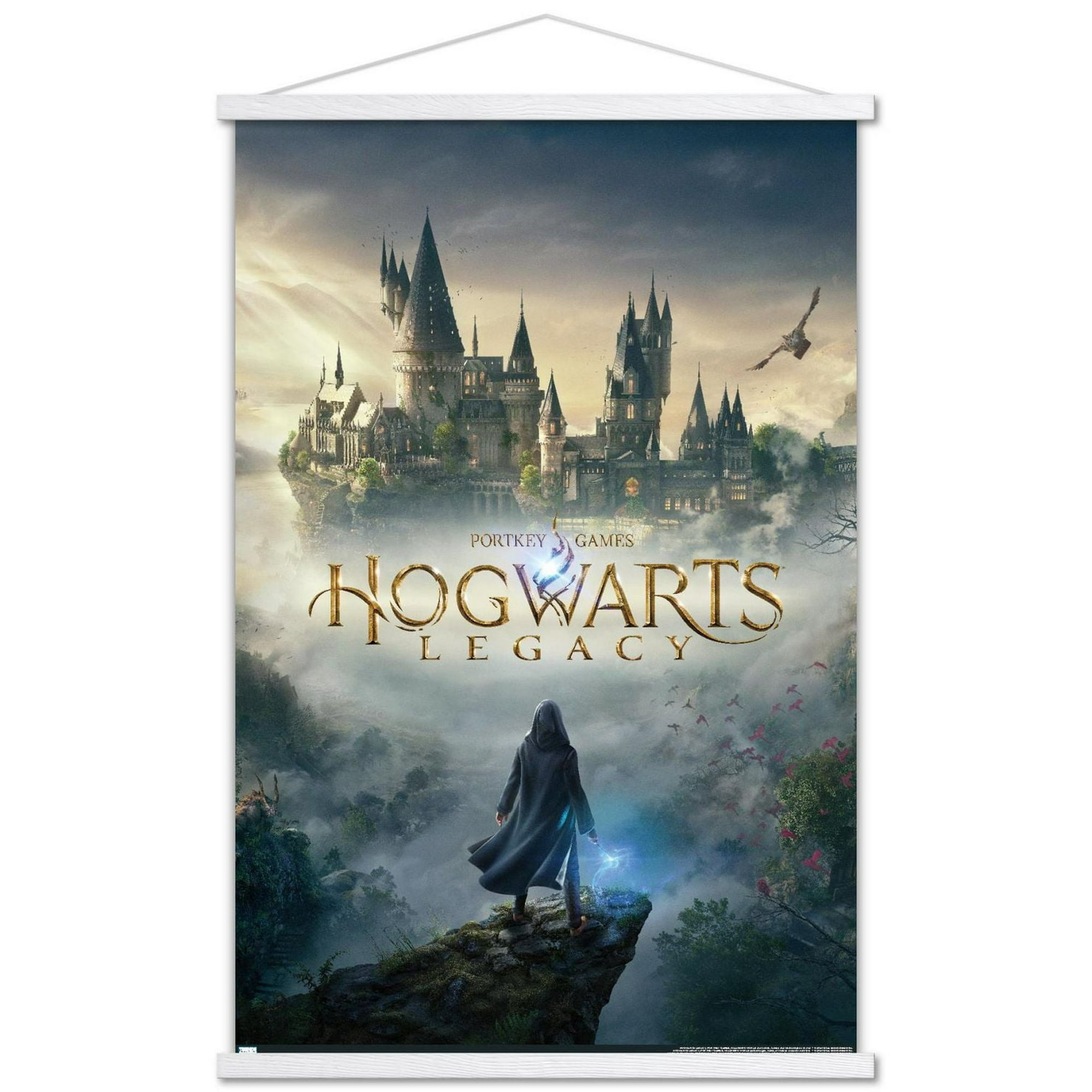 Click here for Trends International Harry Potter: Hogwarts Legacy... prices