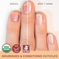 Beauty By Earth Organic Nail & Cuticle Oil, 0.7 fl oz (20 ml) - Walmart ...