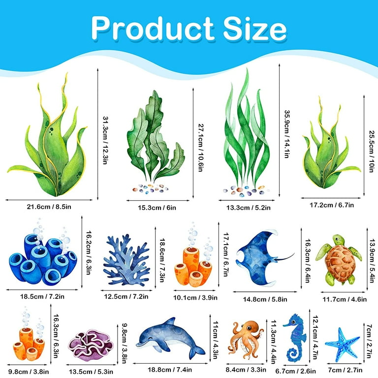 Ocean Plants For Kids